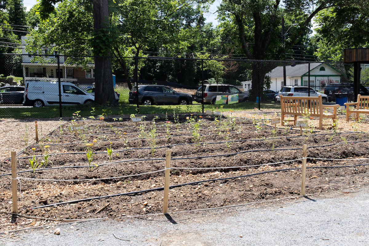 The Well at Oxon Run Kicks Off Its First Growing Season - The ...