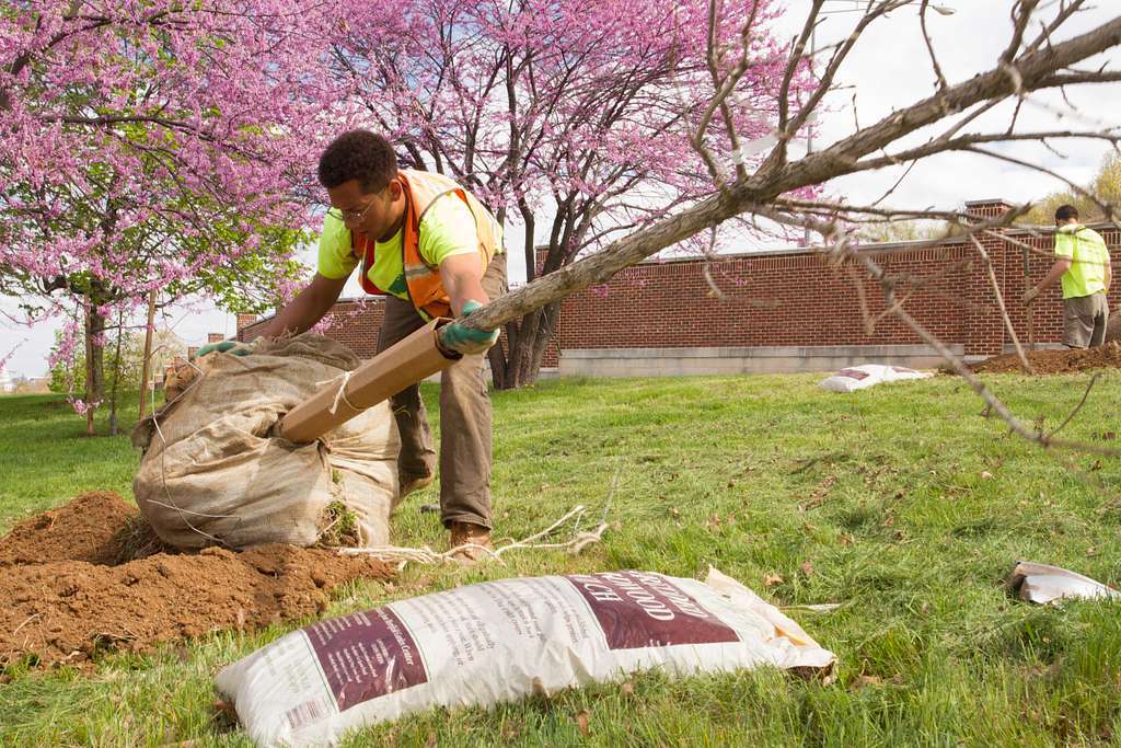 Environmental Events to Celebrate Our Planet - The Washington Informer