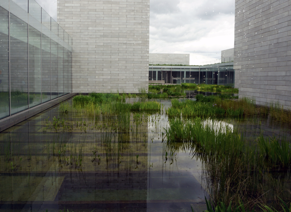 Celebrating a Century of Ellsworth Kelly - The Washington Informer