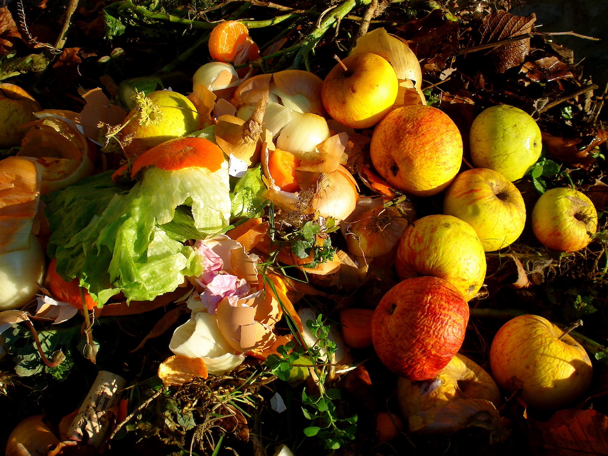 Spots Still Open in D.C.'s Recently-Launched Free Curbside Composting ...