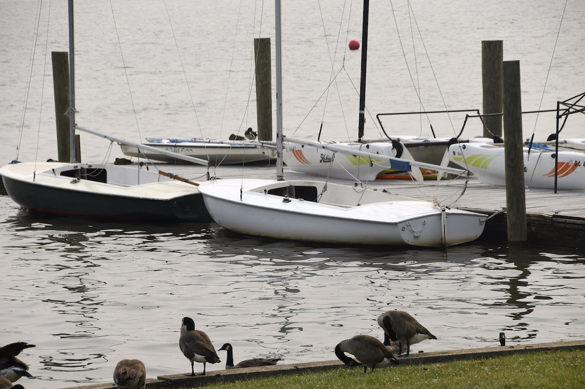 Latest Chesapeake Bay Report Gives Watershed a 'C' Grade - The ...