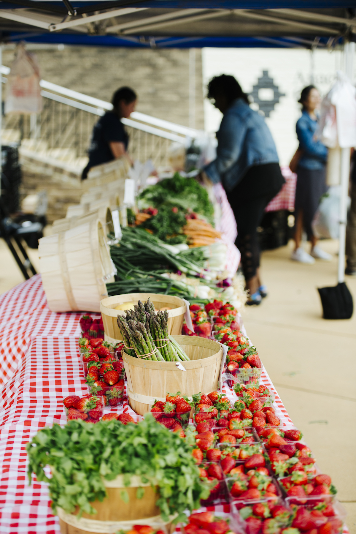 Welcome to the Anacostia Community Museum's Farm Stand! - The ...