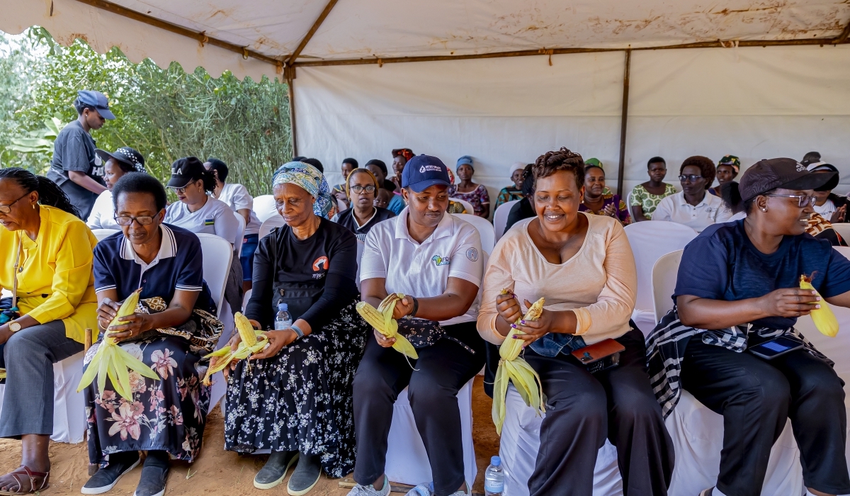 Rwandan women combat desertification through tree-planting initiative ...