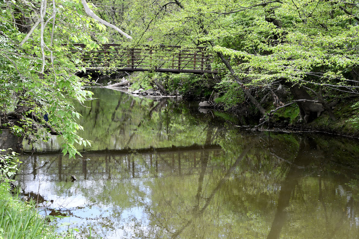 DMV streams score fair in Nature Forward's 2024 state report - The ...