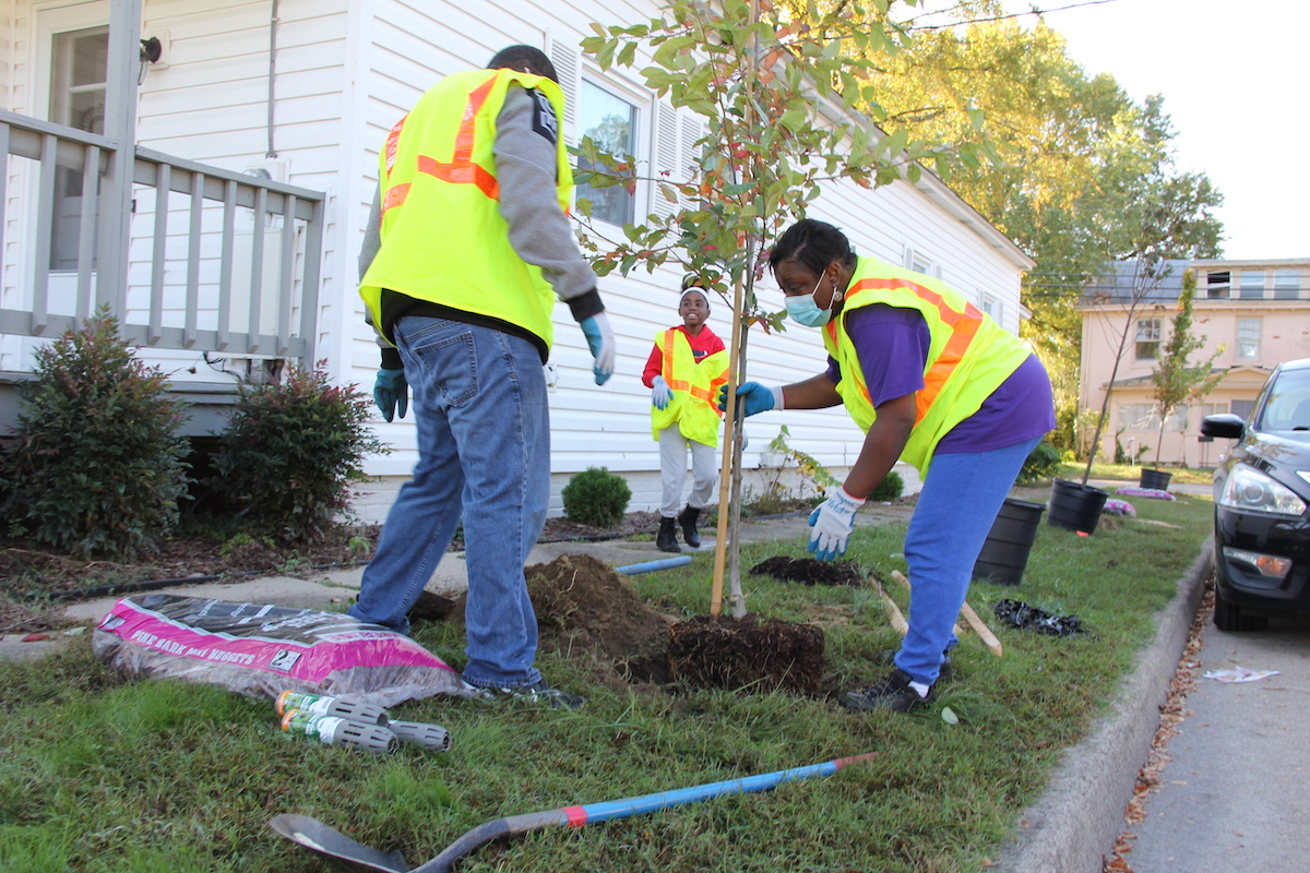 Tree canopy loss prompted COG to set 50% coverage goal - The Washington ...