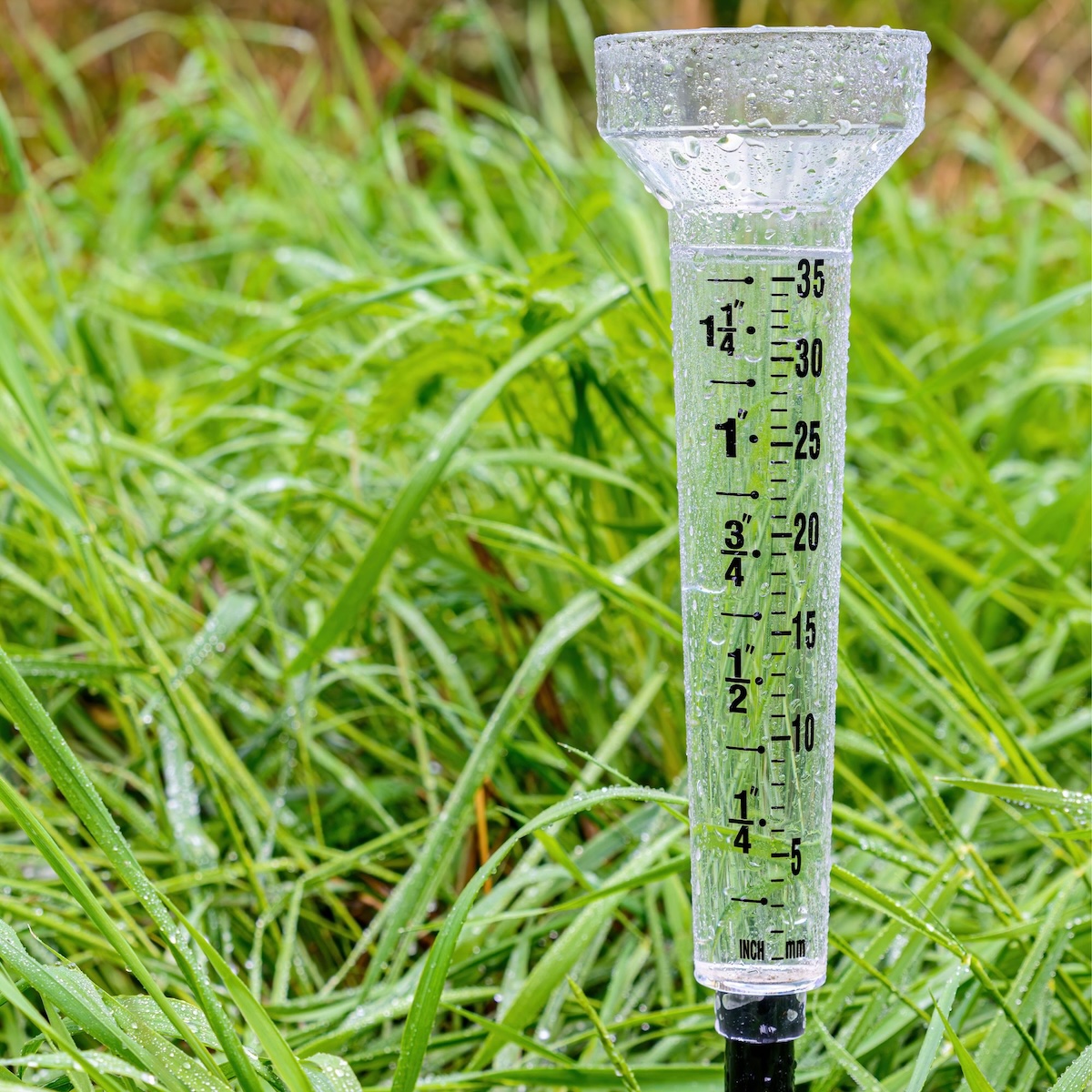 Lawn watering tips: How to conduct an irrigation audit - The Washington ...