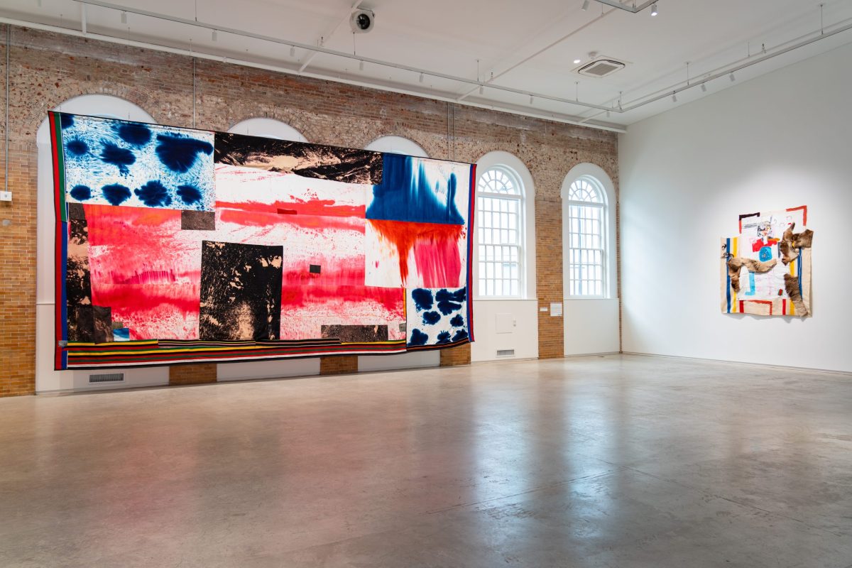 Rubell Museum DC showcases diverse American art in 'American Vignettes ...