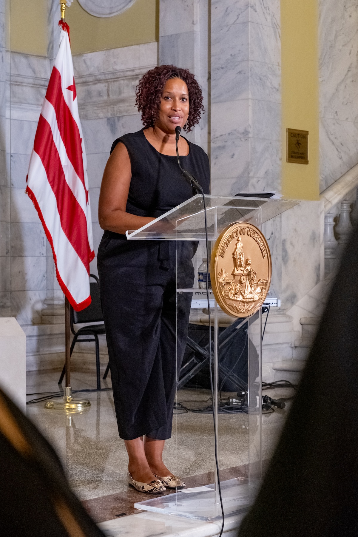 D.C. business sector progressing, future growth plans unveiled - The ...
