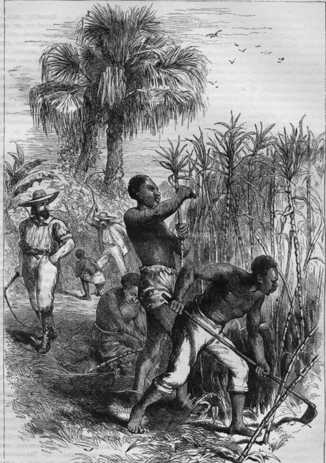 African Americans' labor contributes to U.S. economy's strength - The ...