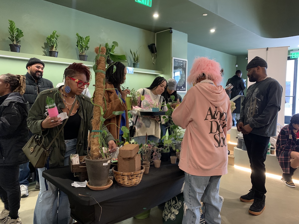 Plant swap event promotes sustainability, community at Grounded - The ...