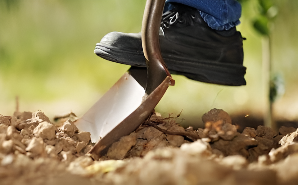Pepco urges safe digging practices as part of National Safe Digging ...