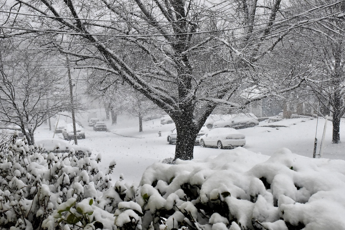 Arctic warming: A threat to global climate stability - The Washington ...